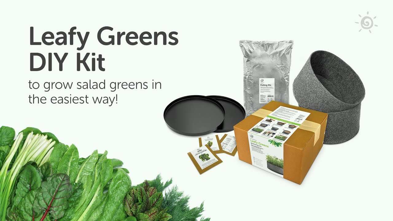 DIY Gardening kit to Grow Leafy Greens - हरी पत्तेदार सब्जियां उगाने के ...