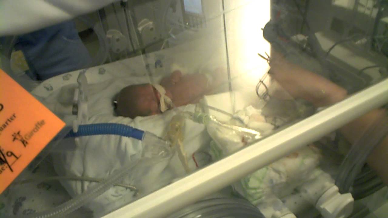 Little Dean - Sept. 7 - video 4 - YouTube