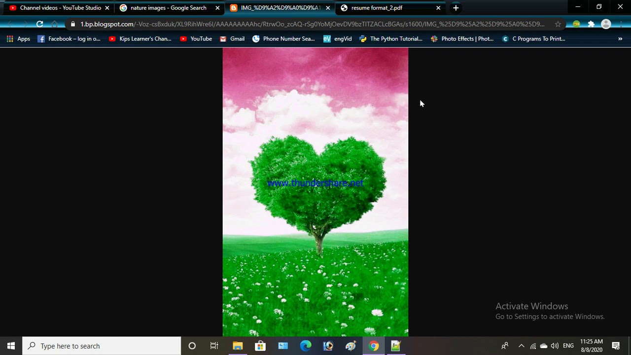 How to insert Online picture in HTML - YouTube