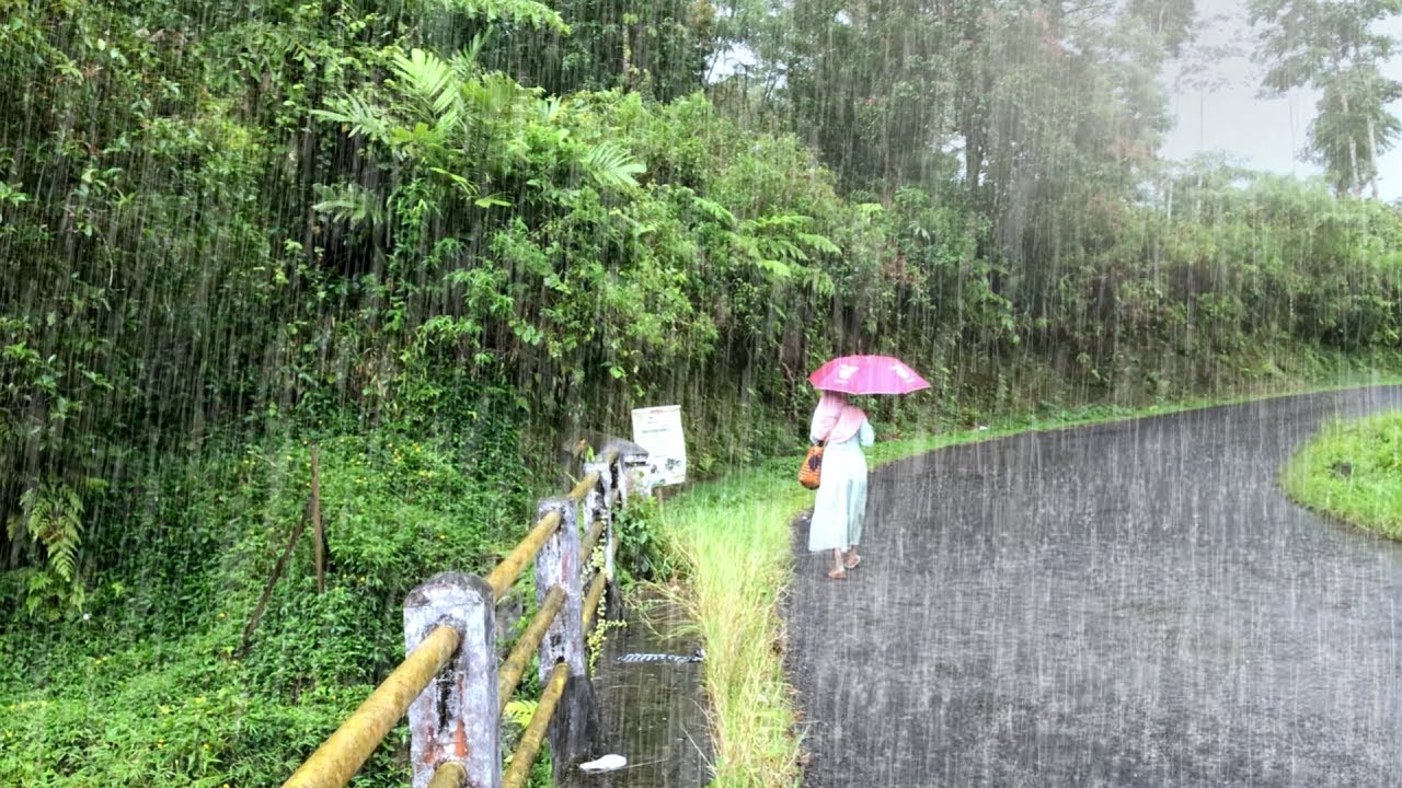 Heavy Rain and Thunderstorms in the green and beautiful mountains ...