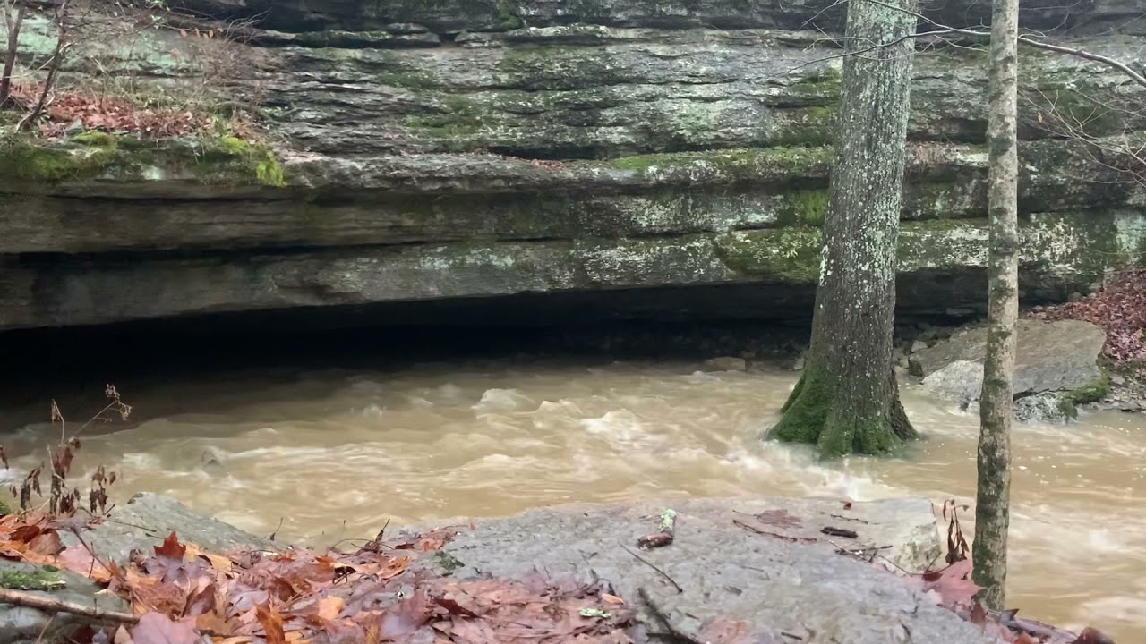Jackson Cave Cedars of Lebanon State Park #cave - YouTube