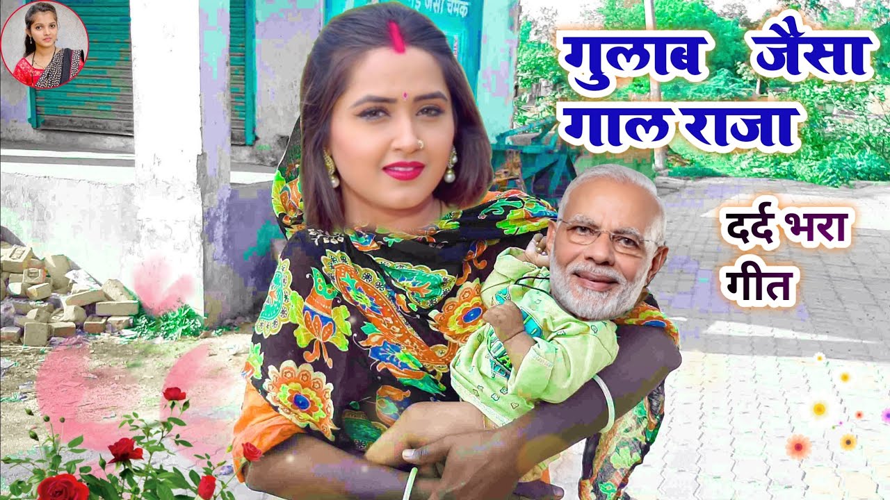 गुलाब जैसा गाल राजा |💔 Bilai wala Geet | bhilai ke geet | billi wala ...