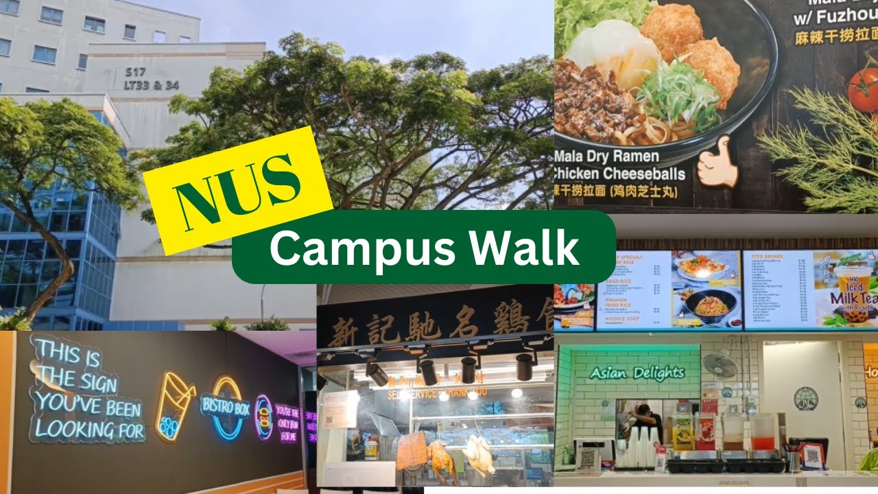 A walk around the campus | NUS | WalkingWithWei - YouTube