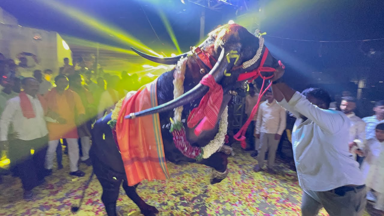 Swapna Yadav Sadar 2022 | Sivaram Pally Swapna Yadav Sadar 2022 | Sadar ...