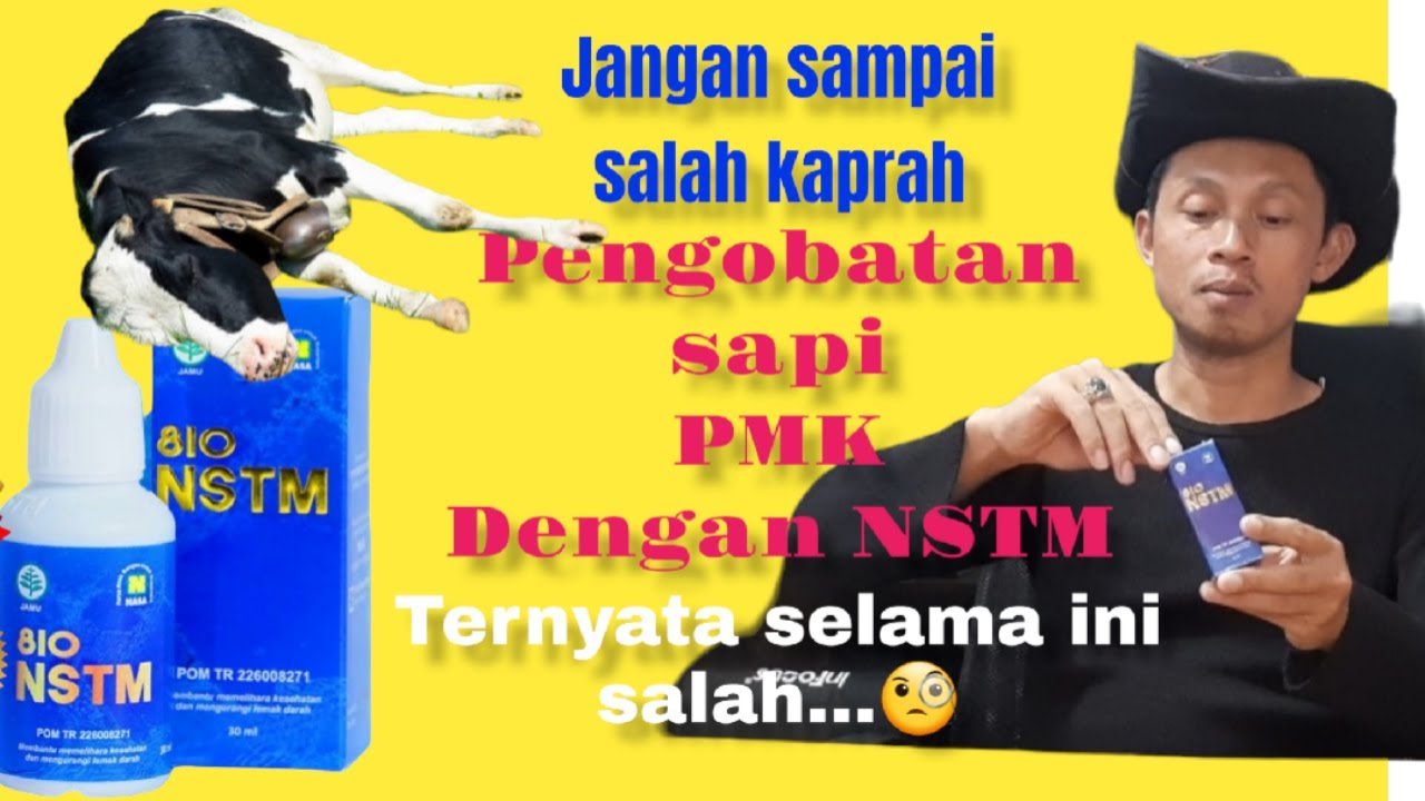 CARA PAKE NSTM UNTUK SAPI PMK YANG BENAR - NSTM NASA ORIGINAL 100% ...