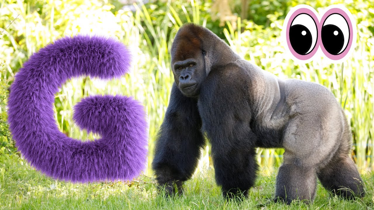 The ABCs of Learning: Letter "G" | Fun and Educational Kids' Video ...