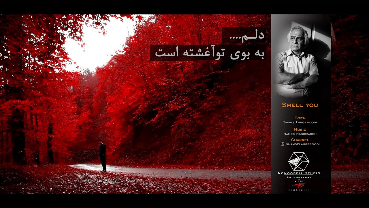 Shams Langeroodi : Smell you | شمس لنگرودی :دلم به بوی تو آغشته است ...