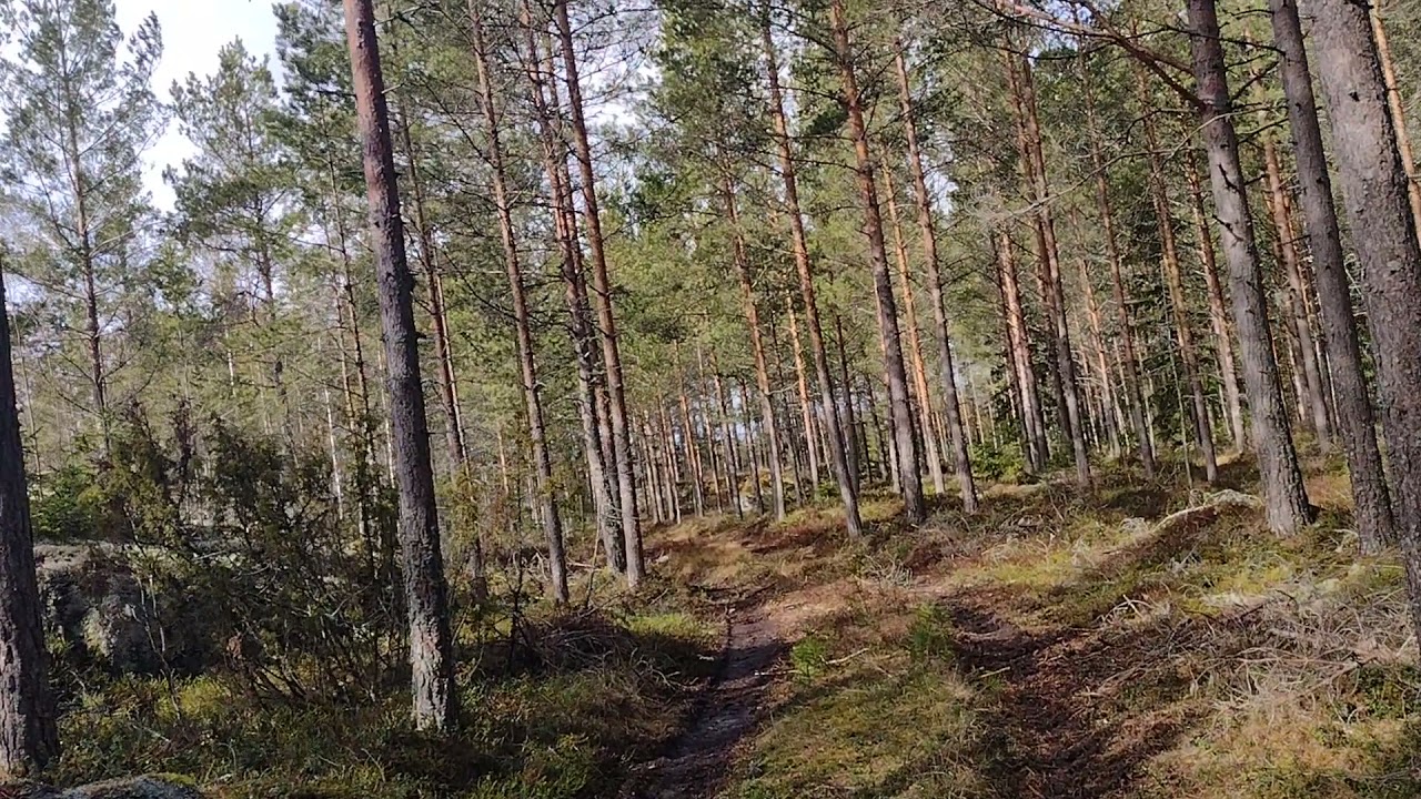 Sevor Zovorg - YouTube