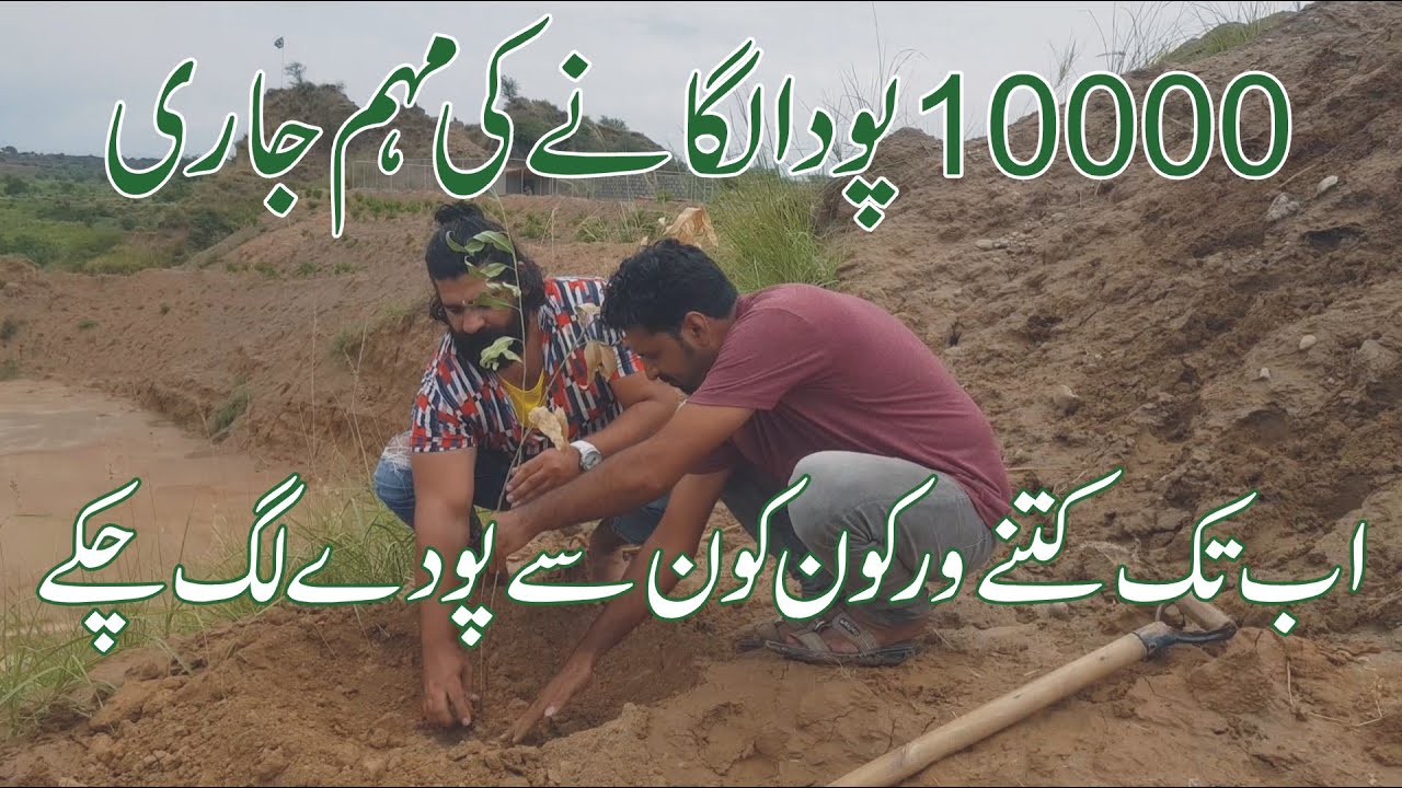 10,000 Poda Lagane Ka Mission Jari| Usman Bullet official - YouTube