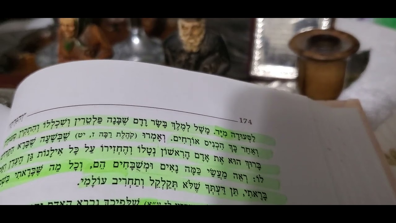 HaRav Yaakov Galinsky on the Torah. Parshas Tazria - YouTube
