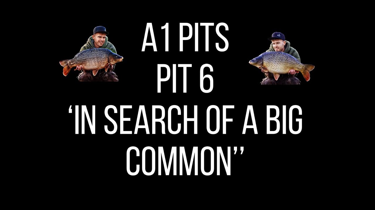 A1 pits,pit 6,**in search of a big common** #atomictackle #Subcarp # ...