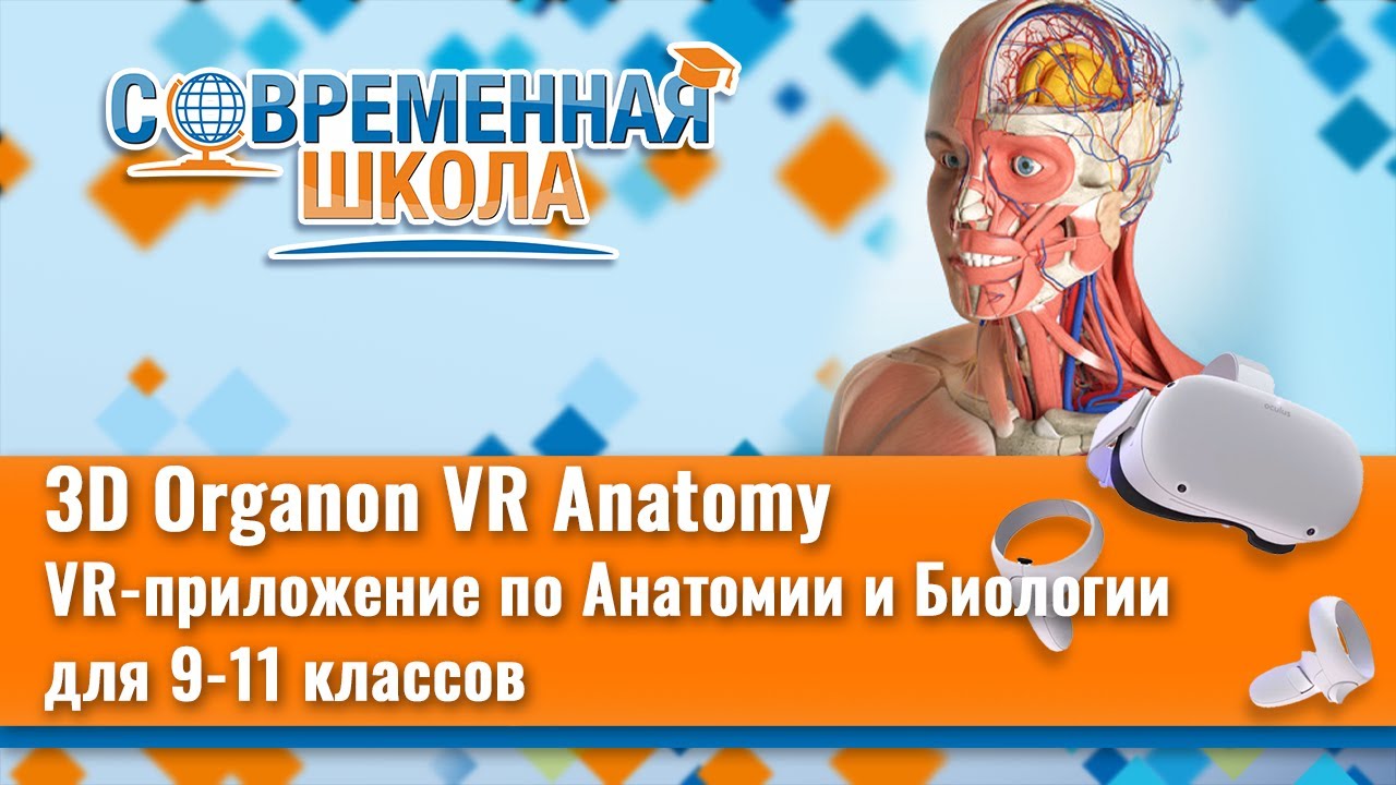 VR-приложение по Анатомии и Биологии для 9-11 классов «3D Organon VR ...