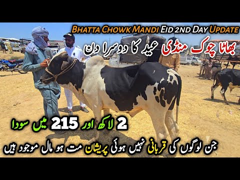 Eid 2nd Day Bhatta Chowk Mandi Update 28 May 2026 | Qurbani Bakra Eid 