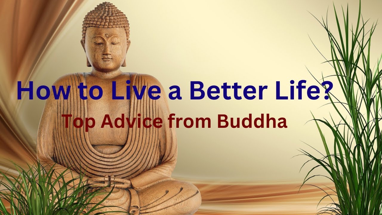 Top 15 advice from Buddha to live a Better LIFE! Inspirational Buddha ...