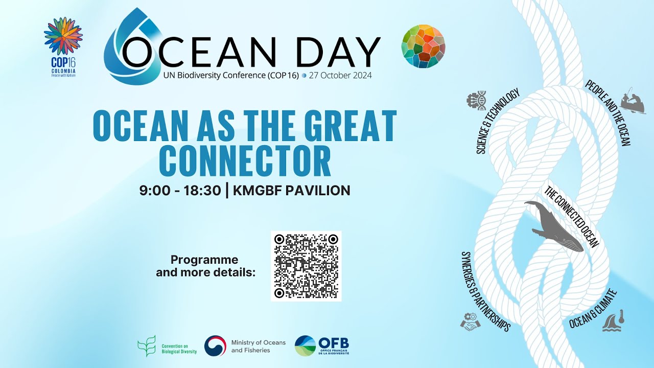 COP 16 Ocean Day - 27 October 2024 (2/2) - YouTube