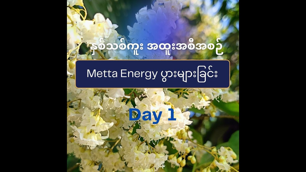 Metta Energy Day 1 - YouTube