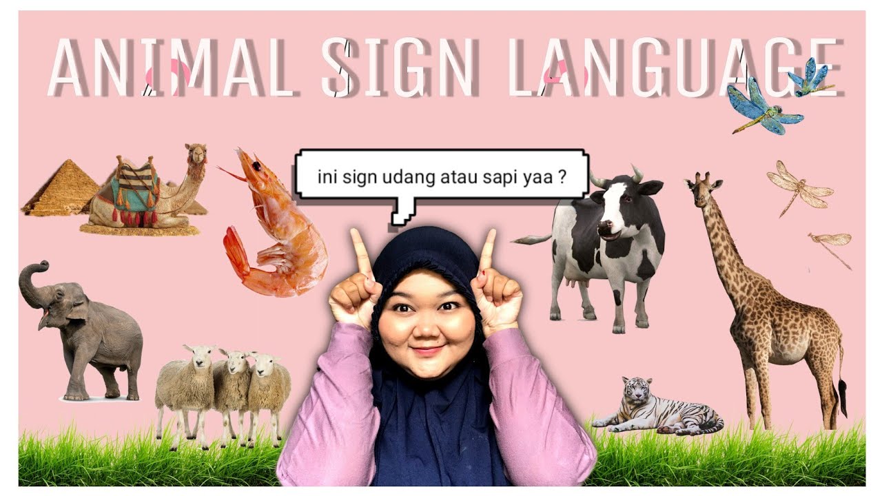LEARN ANIMAL SIGN LANGUAGE - YouTube