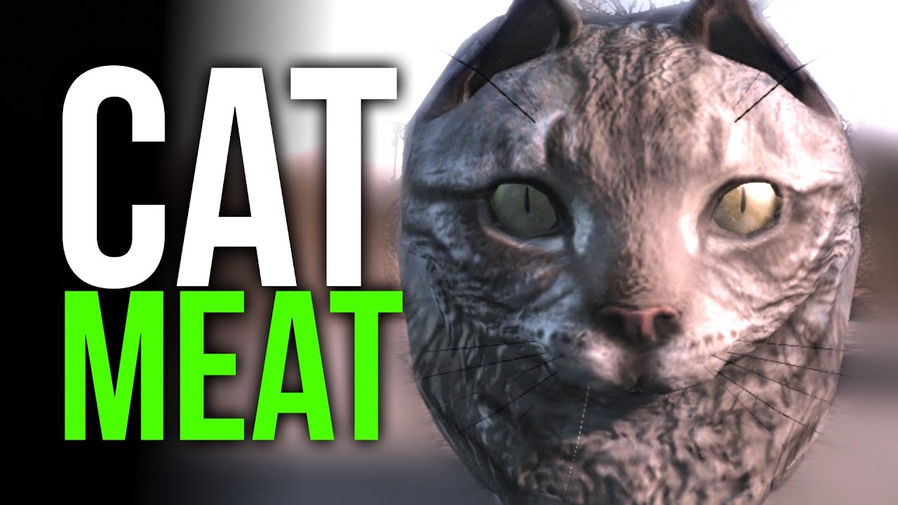 REMEMBERING CATMEAT - Fallout 4 Automatron DLC - [ Playthrough Pt.3 ...