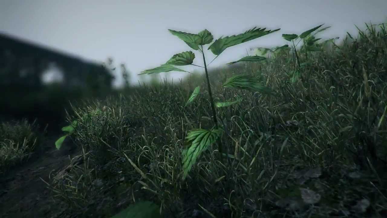 afs foliage shader for unity -- ground lighting 1080p - YouTube