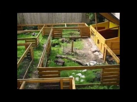 amazing guinea pig cages - YouTube