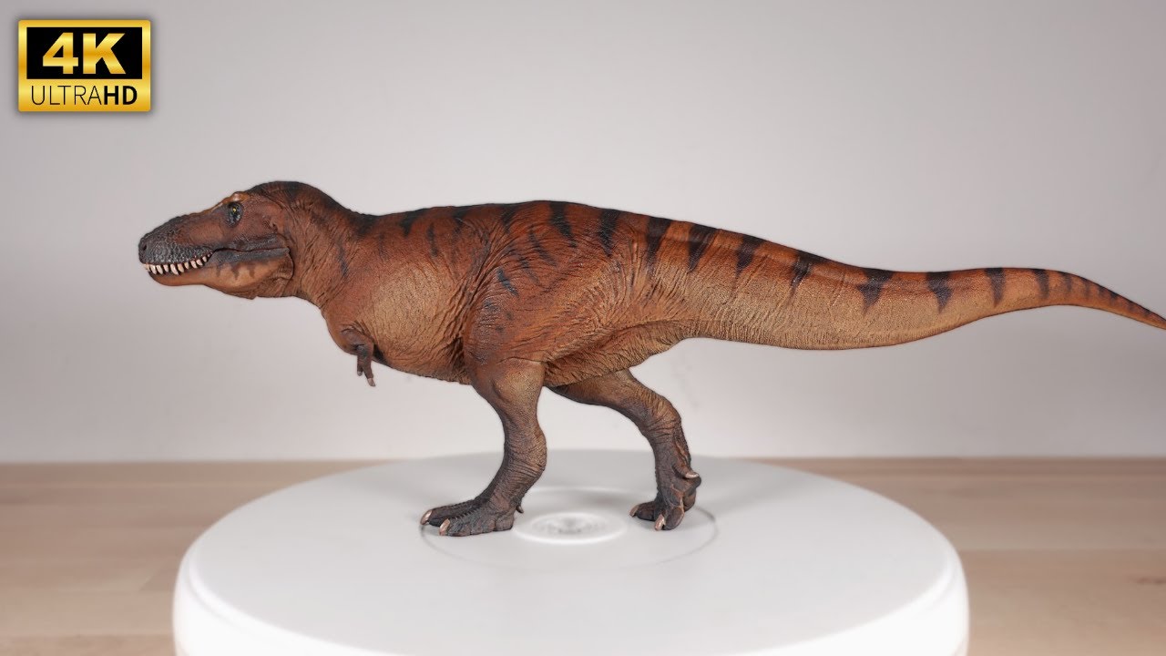 Tyrannosaurus rex PNSO - 4K - YouTube