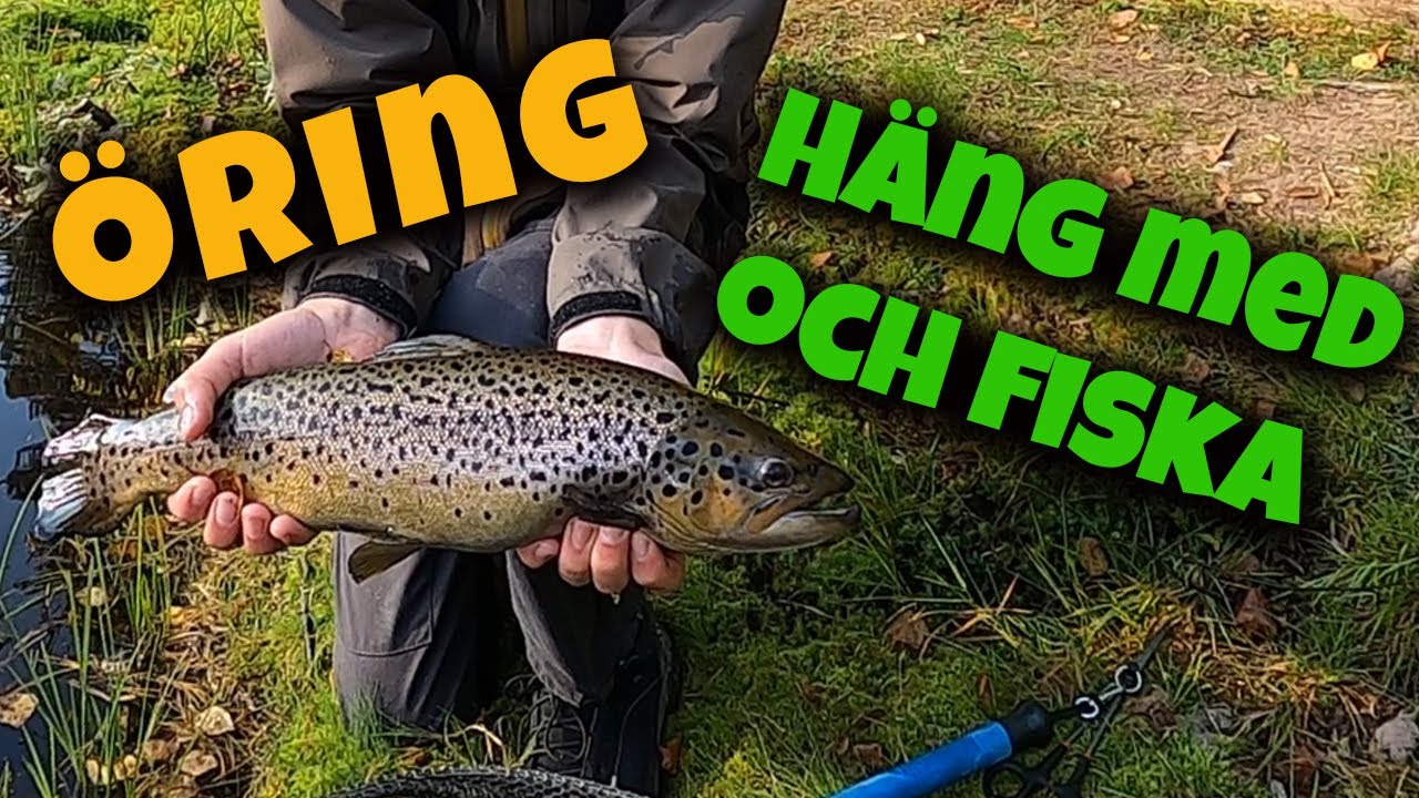 Häng med ut och fiska - Öring 2023 - YouTube