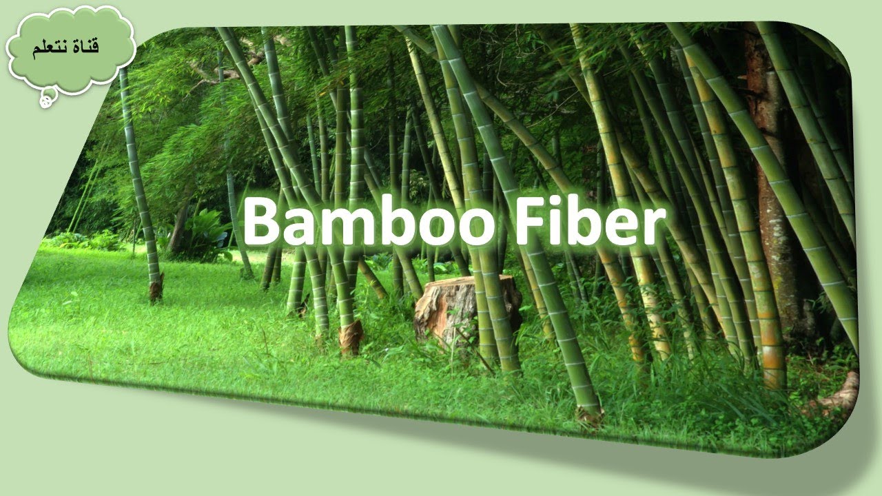 Introduction to Bamboo Fiber - YouTube