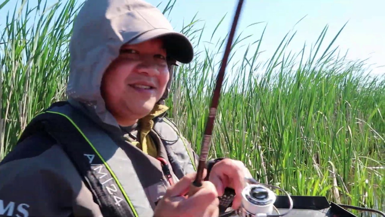 Câu Cá Tra Cá Sửu - Catfish & Sheepshead Dunnville June 06 2020 - YouTube