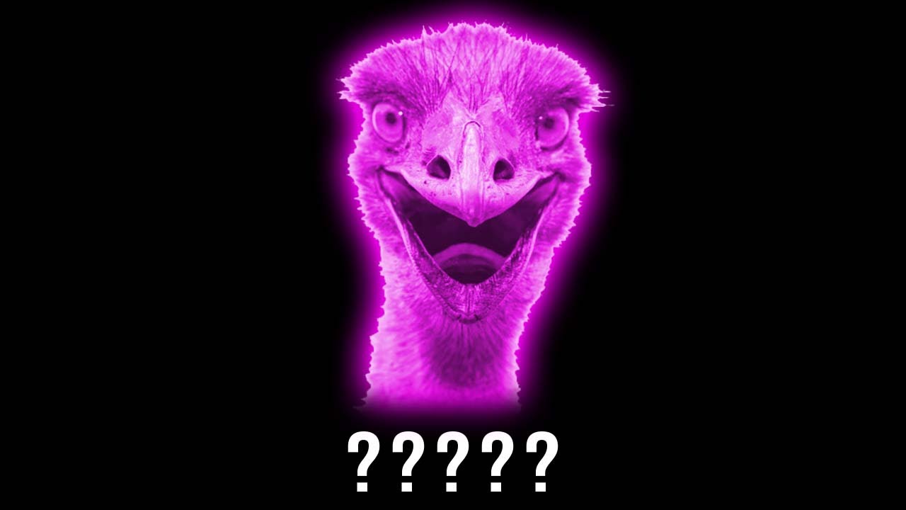 15 Emu "Drumming" Sound Variations in 30 Seconds | MODIFY EVERYTHING ...