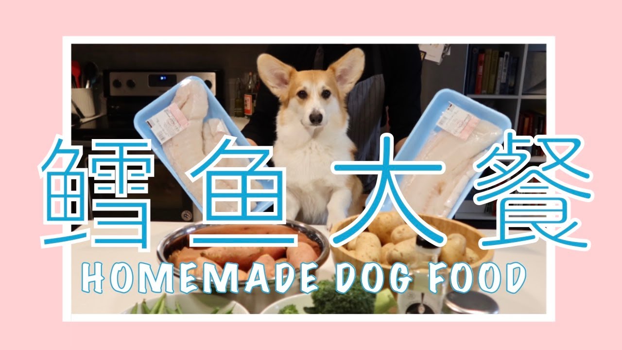 给柯基兄妹做鳕鱼大餐｜Cook Fancy Meal with Cod for Corgi Siblings｜JustFoodForDogs ...