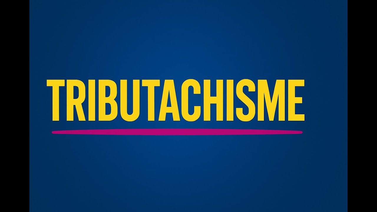 TributaChisme - YouTube