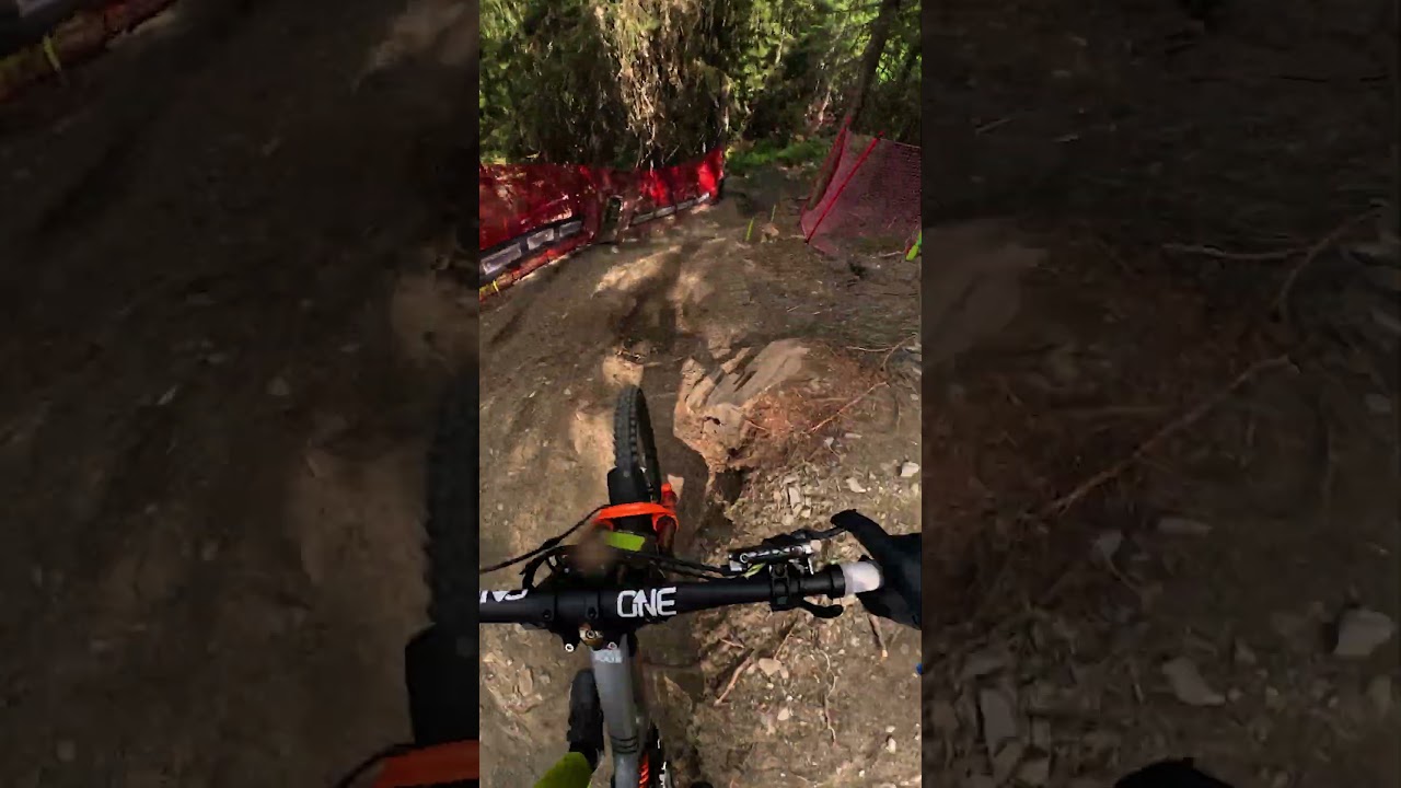 Embed a YouTube Video Slider on WordPress Demo