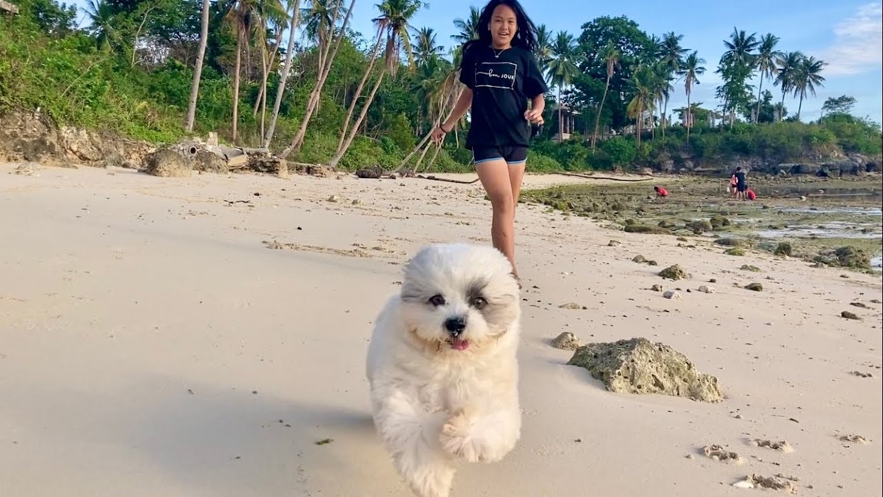 ANG PAMAMASYAL SA DAGAT - YouTube