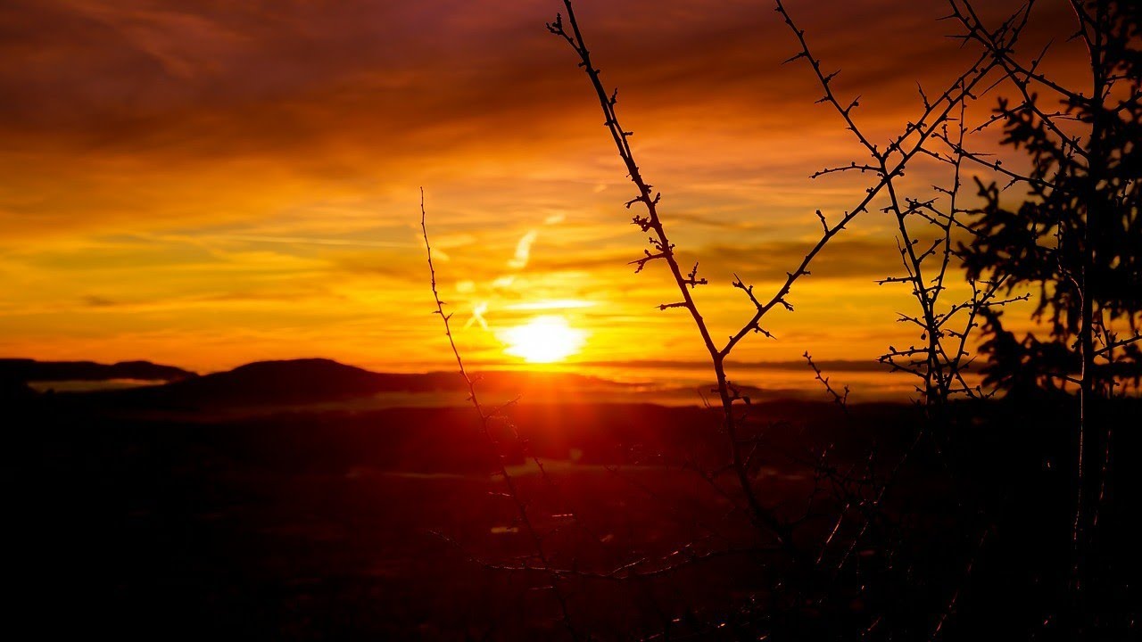 AMAZING !!! Sunset di Hutan Borneo - YouTube