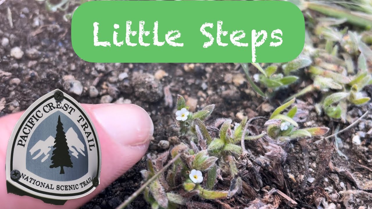 PCT #3 Little Steps to Lake Morena - YouTube