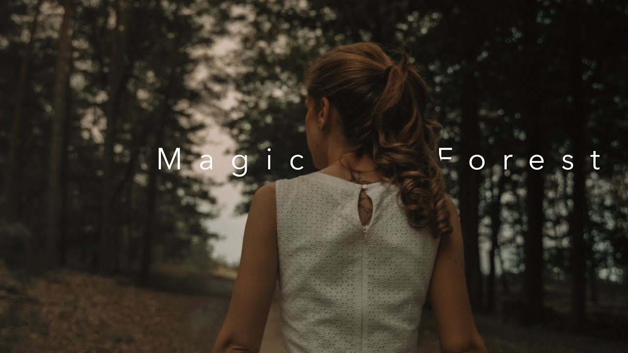 The Magic Forest Cinematic Travel Video - YouTube