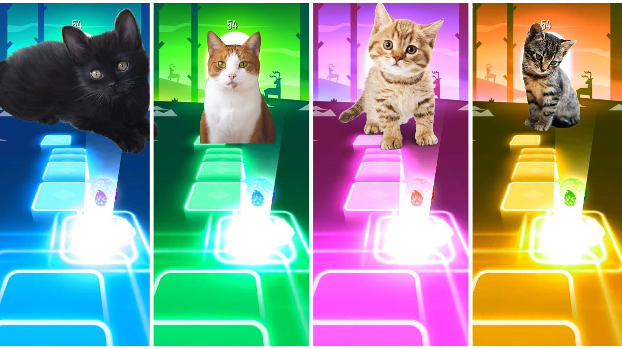 Funny Cats, Covers & Tiles Hop Fun | Episode 619 - YouTube