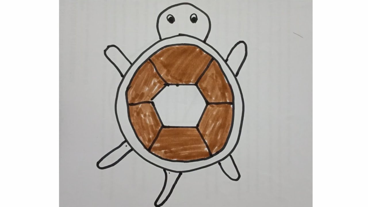 how to draw a turtle - easy and simple way to draw - YouTube