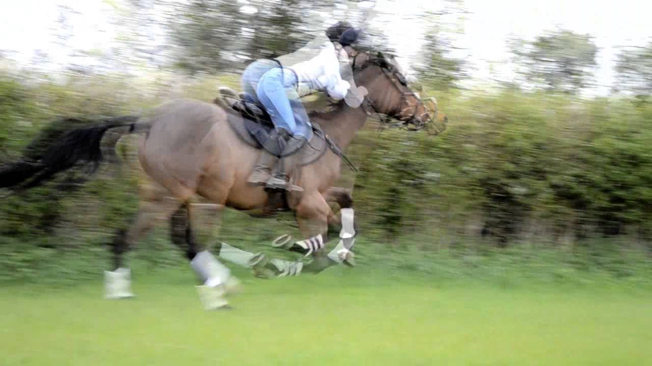 Galloping - Slow Motion! - YouTube