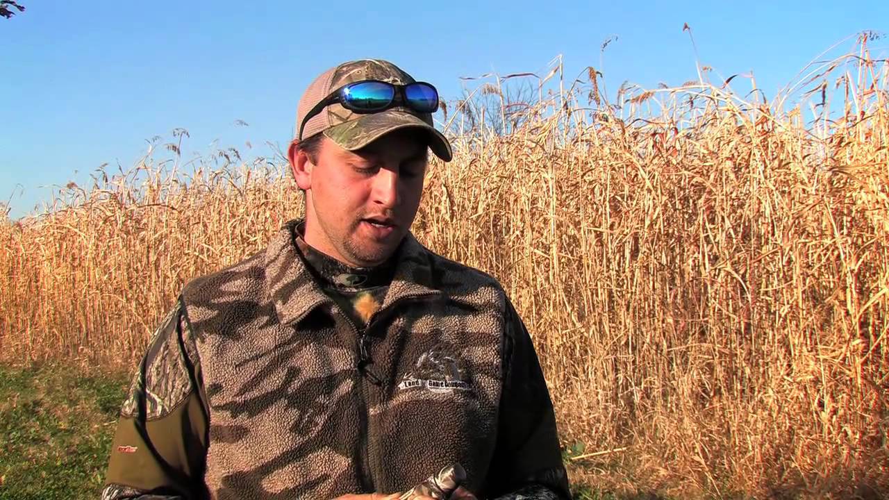 Rod White How to Create a Breeding Grunt Whitetail Deer Call - YouTube