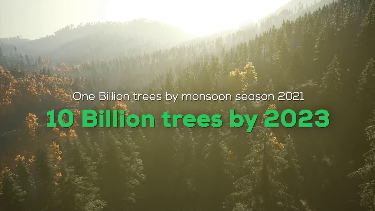 Interwood: Creating A Greener Pakistan (10 Billion Trees Project ...