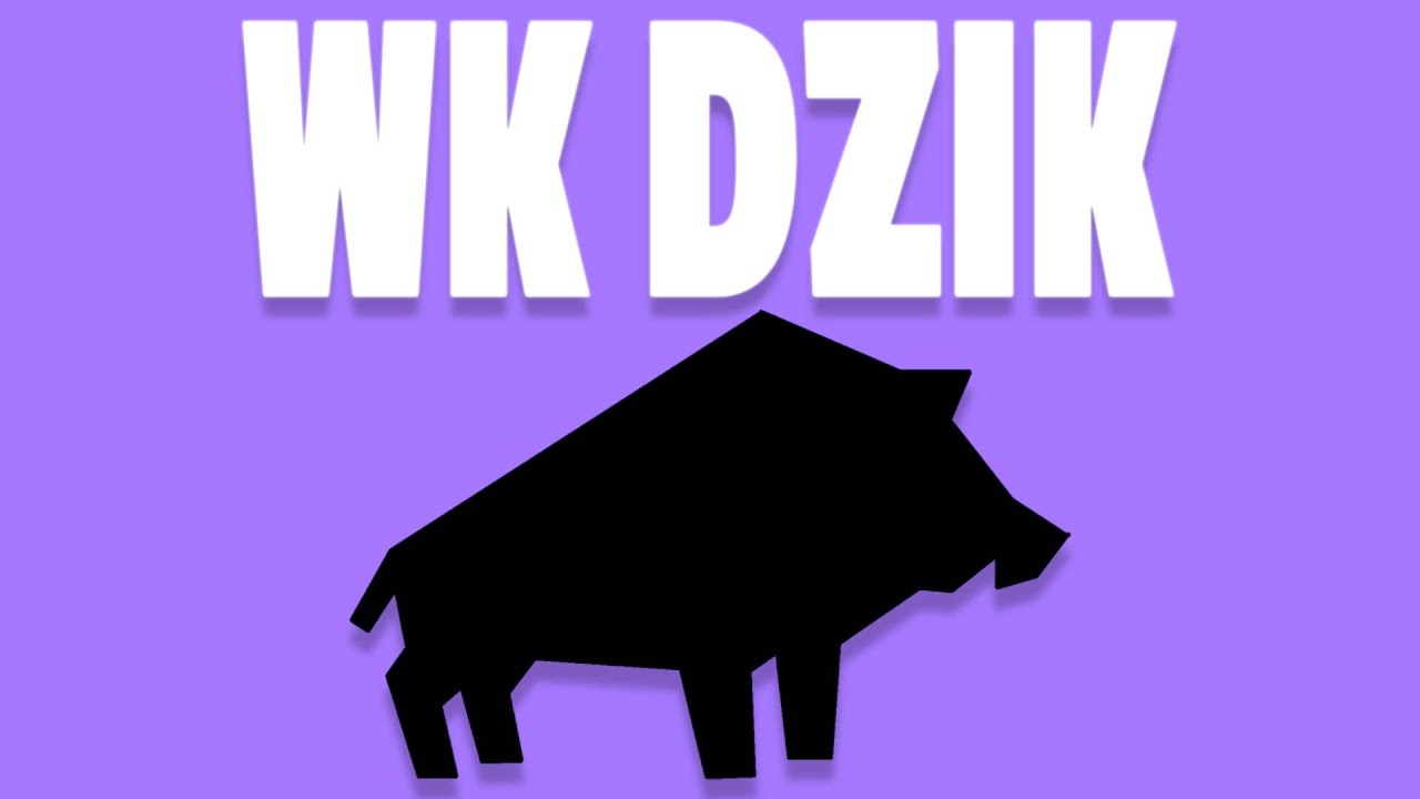 WK DZIK - YouTube