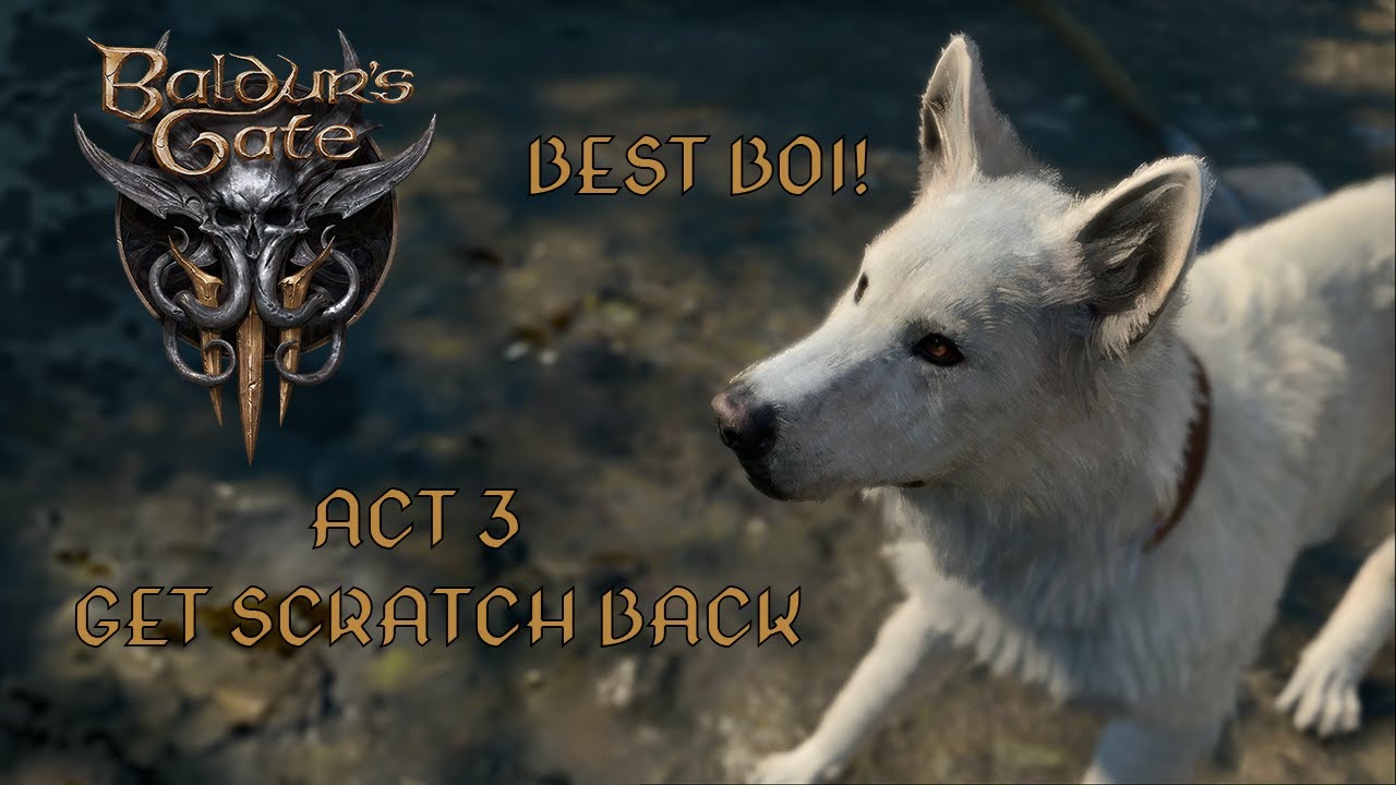 How to get Scratch back as a summon in Baldur's Gate 3 | Save the BEST BOI! 🐕 - YouTube