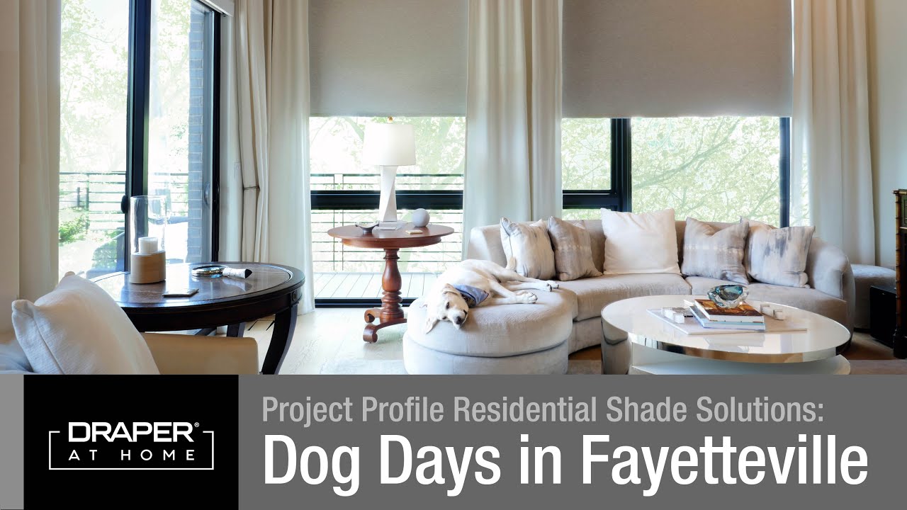 Draper At Home Profile: Dog Days in Fayetteville - YouTube