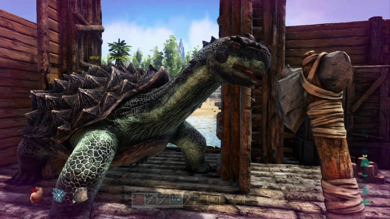 Ridiculous Turtle, Ark Survival PS4 - YouTube