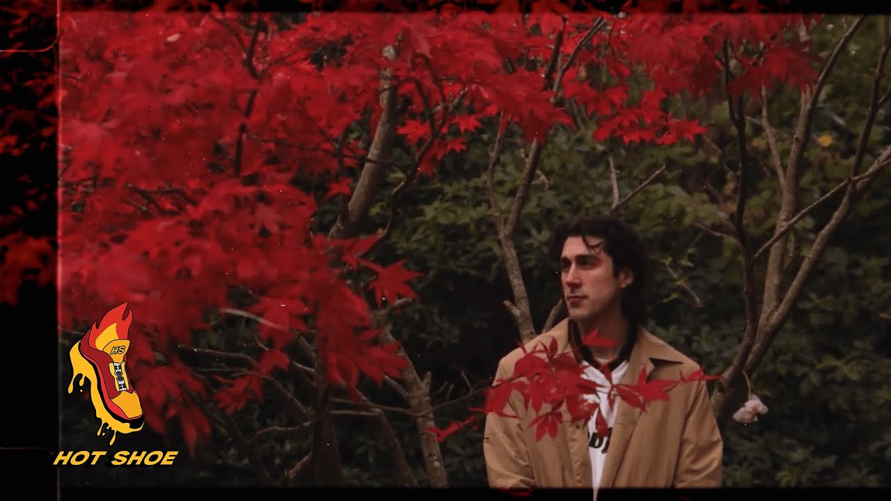 The Scarlet Cavaliers // Yeah So Anyway (Official Music Video) - YouTube