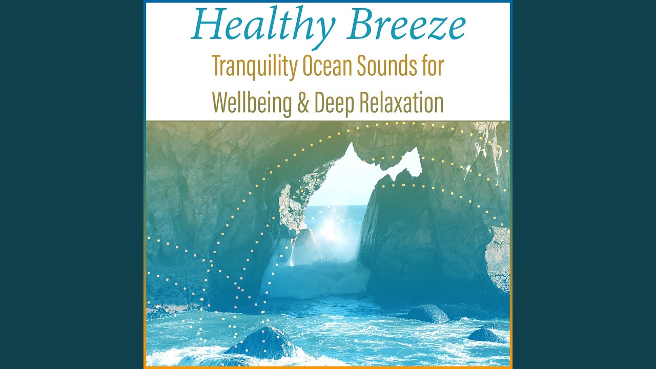 Total Stress Relief: Rain Loop & Seaguls - YouTube