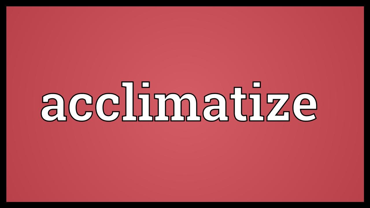 Acclimatize Meaning - YouTube