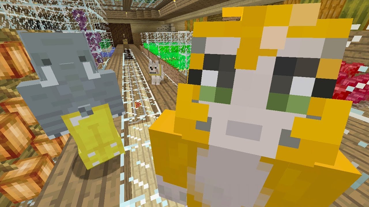 Minecraft Xbox - Farm Factory [593] - YouTube