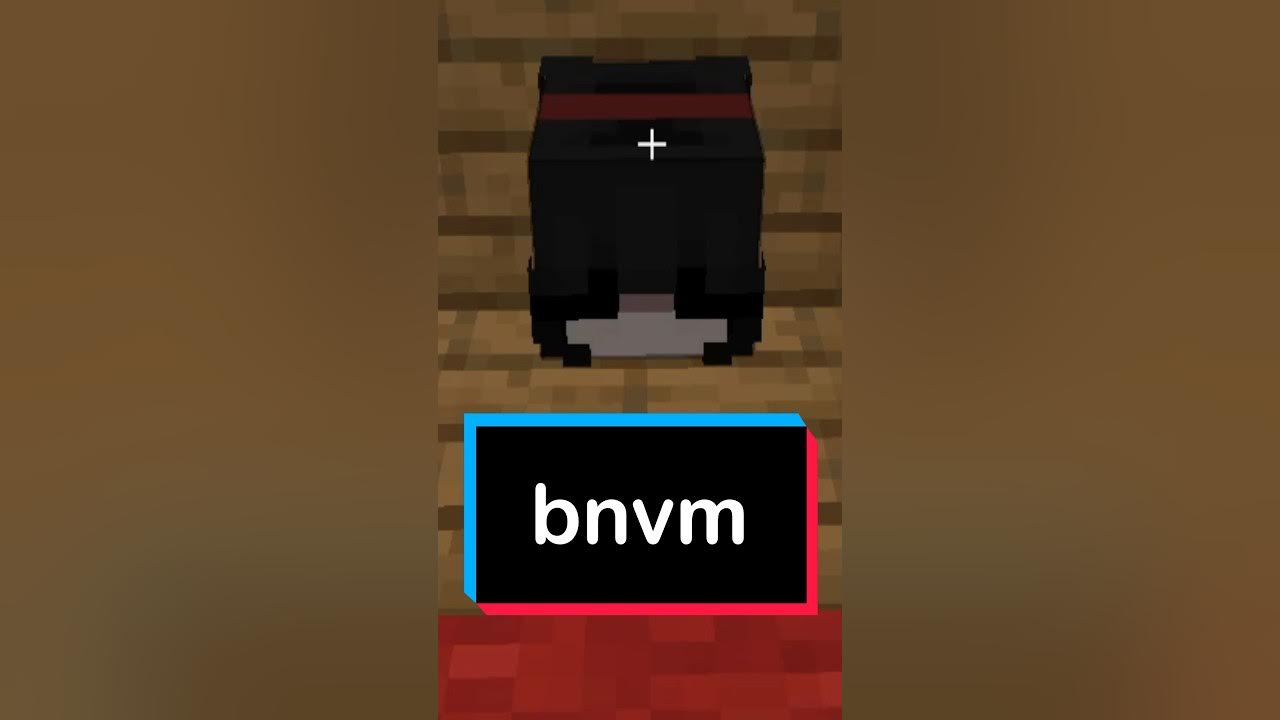 bnvm | Comment your name (Java only)! | #playerhead - YouTube